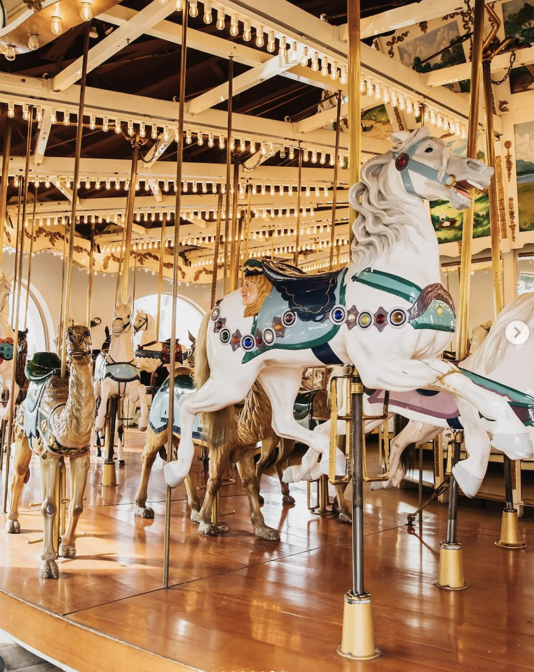 1895 Looff Carousel – HISTORIC CAROUSELS